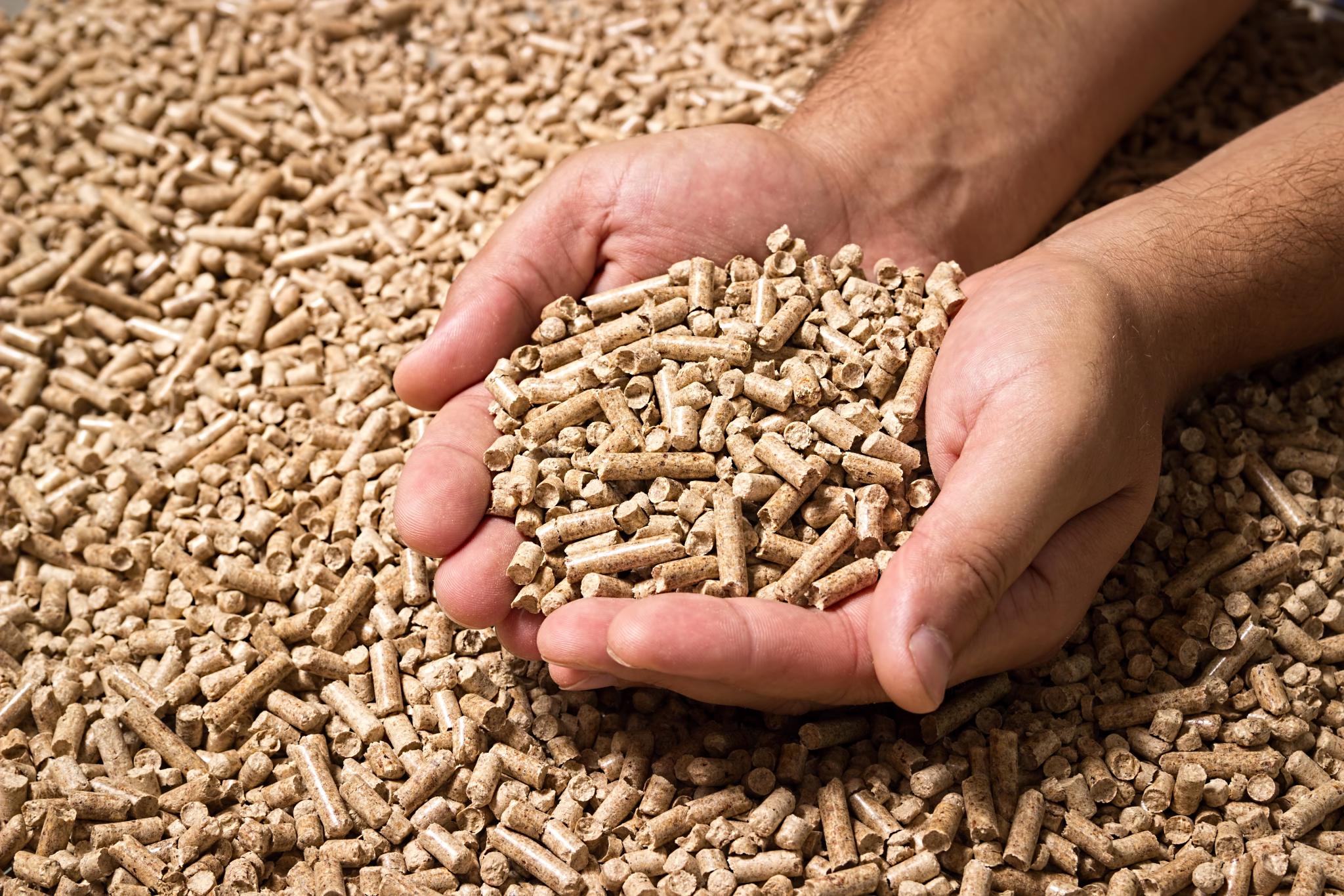 Amplified Feed Solutions | Stockfeed for Cattle and Sheep | New South Wales